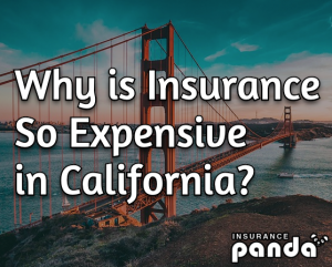 Why is Car Insurance So Expensive in California? - CA Insurance Rates