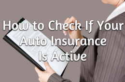 How to Check If Your Auto Insurance Is Active - Insurance Panda