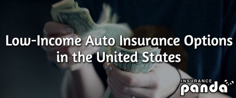 Low-Income Auto Insurance Options in the US - Insurance Panda