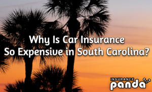 Why Is Car Insurance So Expensive in South Carolina? - Insurance Panda