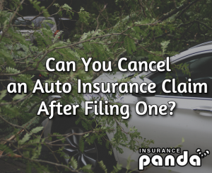 Can You Cancel an Auto Insurance Claim After Filing One?