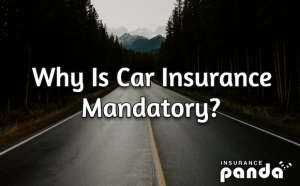 Why Is Car Insurance Mandatory? - Why Is Insurance Required?