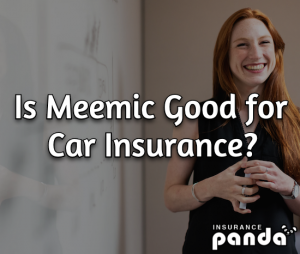Meemic Insurance Review - Is Meemic Good for Car Insurance?