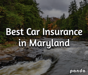 Best Car Insurance in Maryland - Top Auto Insurance Companies in MD