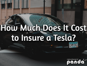 How Much Does It Cost to Insure a Tesla? [Tesla Insurance Rates]